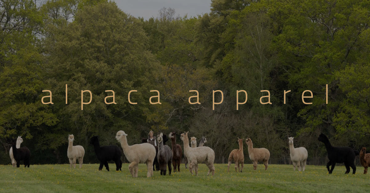 Luxury Alpaca Clothing: Sustainable Knitwear from the New Forest ...